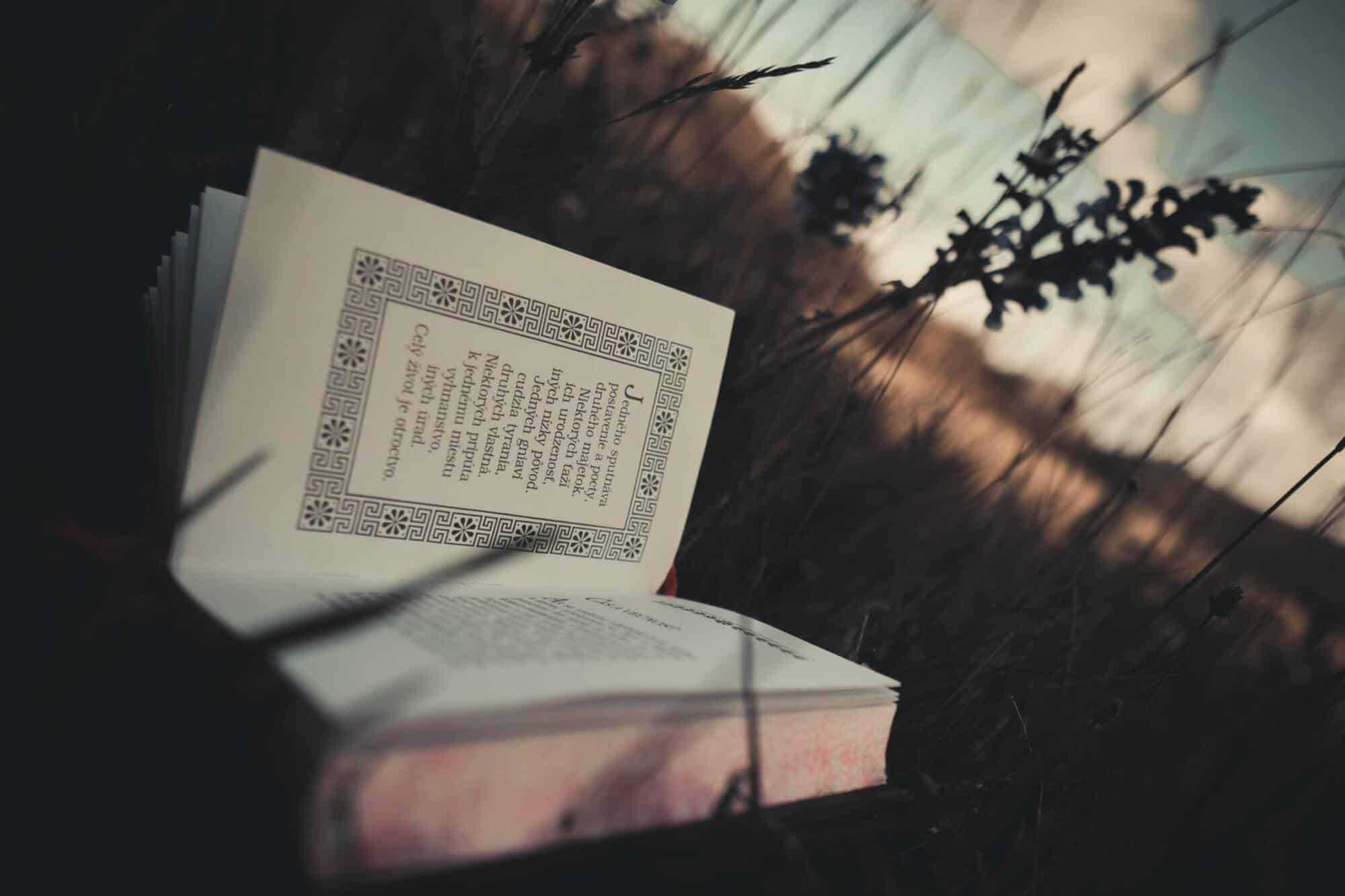 A Guide To The 10 Best Philosophy Books For Beginners