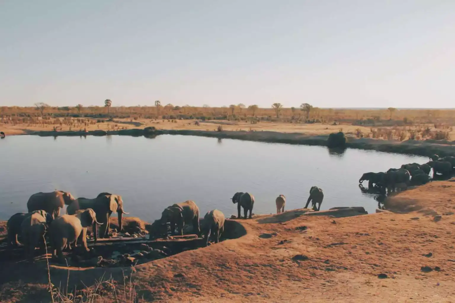 9 Fascinating Facts About Lake Chad In Africa You Should Know