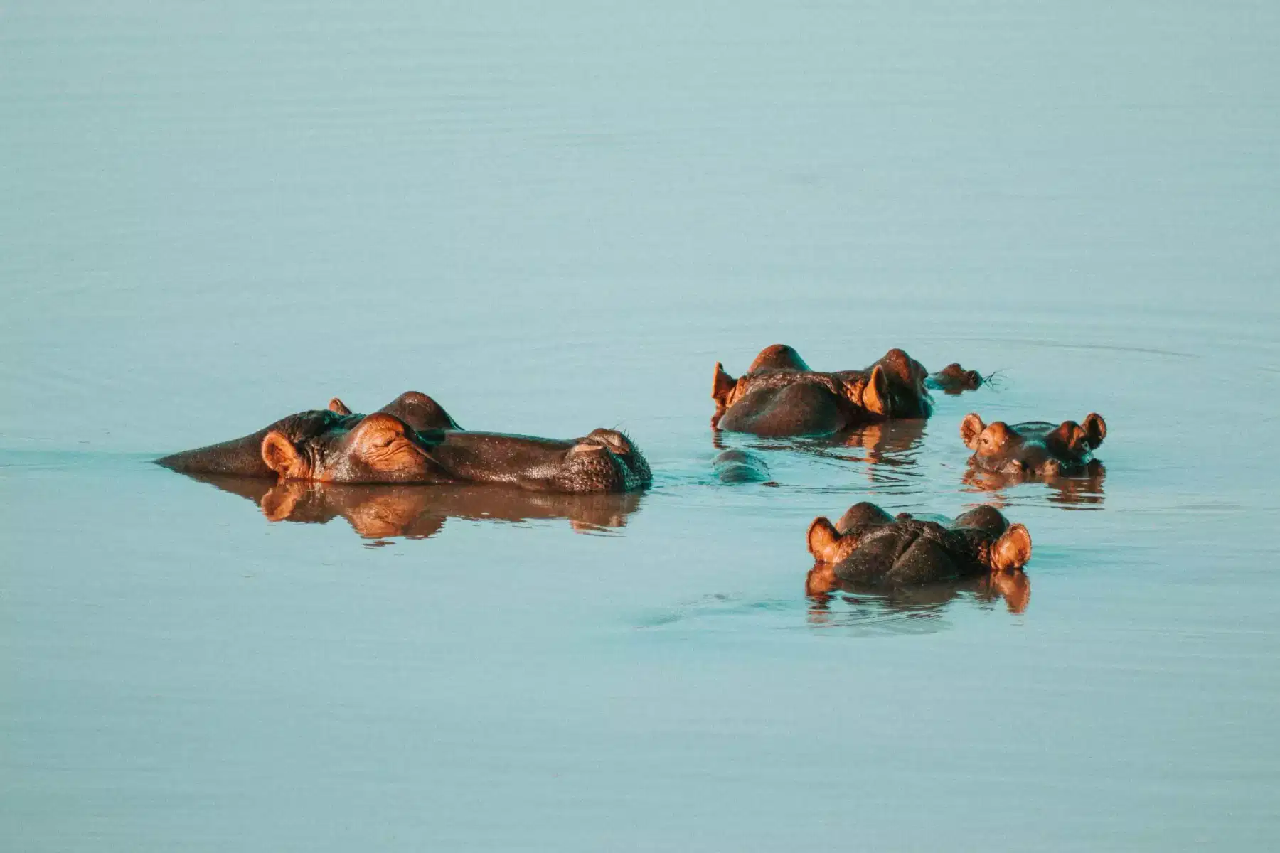 9 Fascinating Facts About Lake Chad In Africa You Should Know
