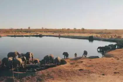 9 Fascinating Facts About Lake Chad In Africa You Should Know
