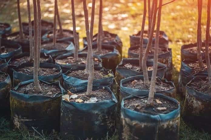 The Top 10 Goals For A Better India - Icy Tales